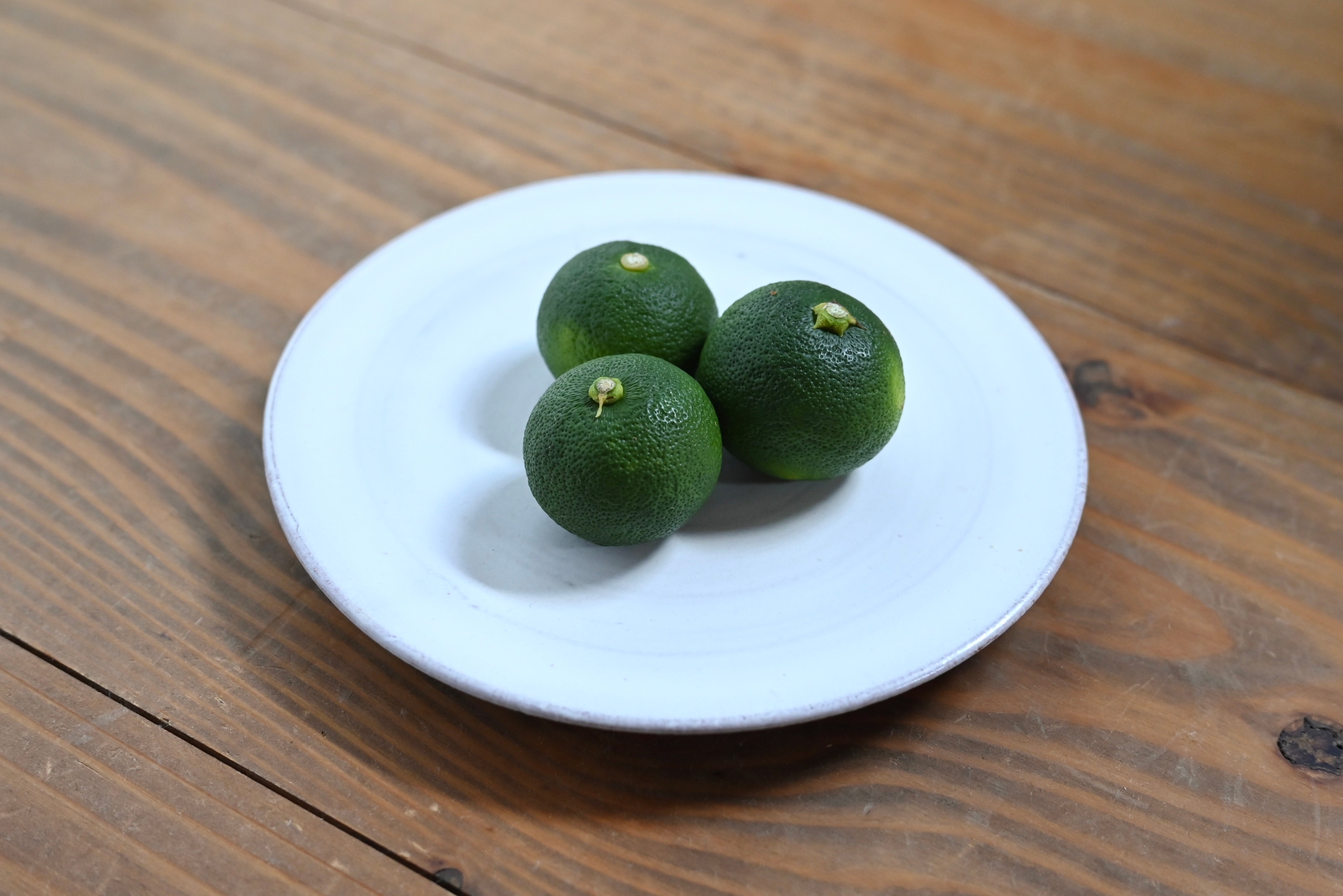 Otani ware white plate – あわい商店